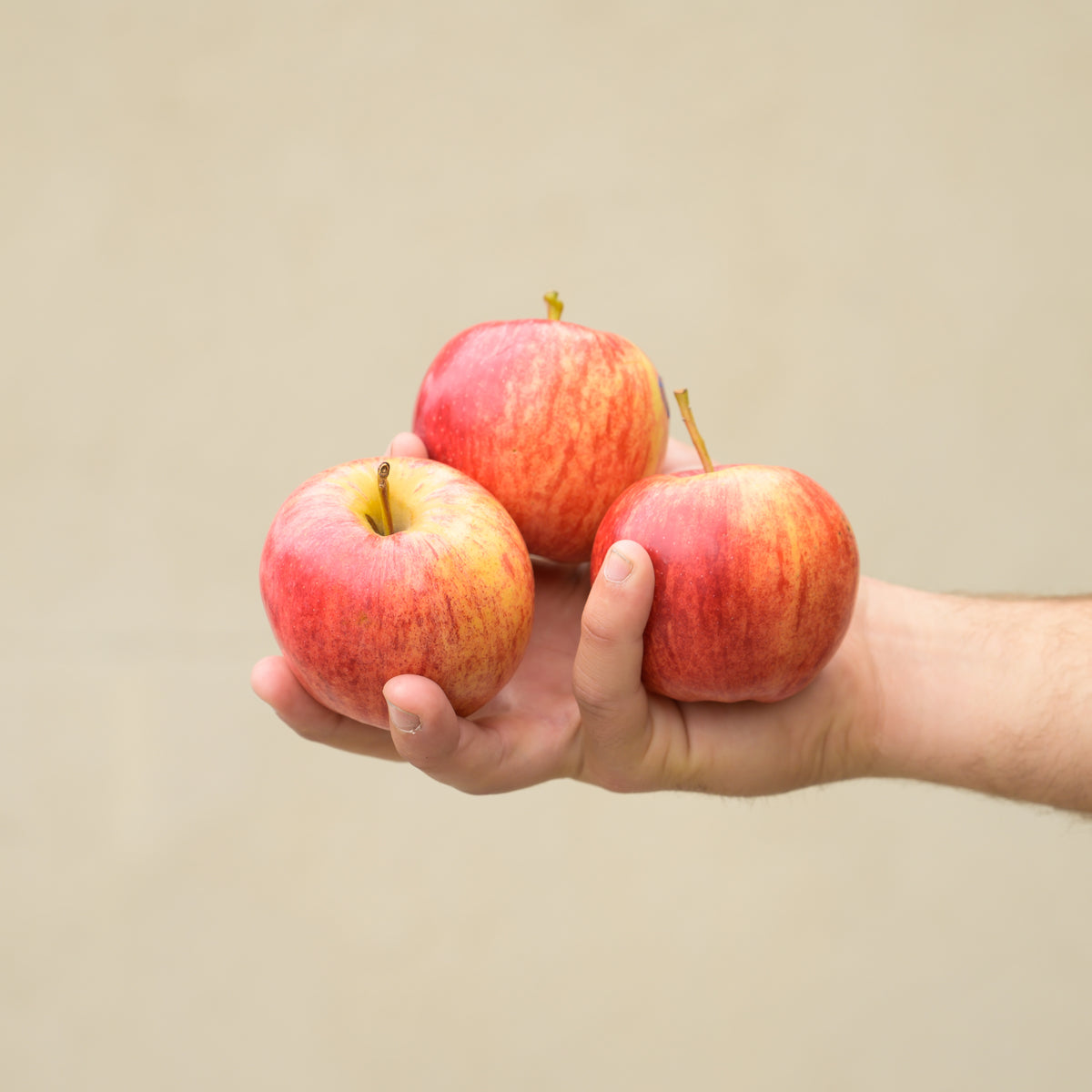 Royal Gala Apple – Adelaide Fruit and Vegetable Delivery