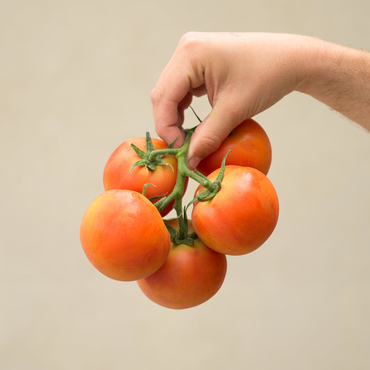Truss Tomato – Adelaide Fruit and Vegetable Delivery